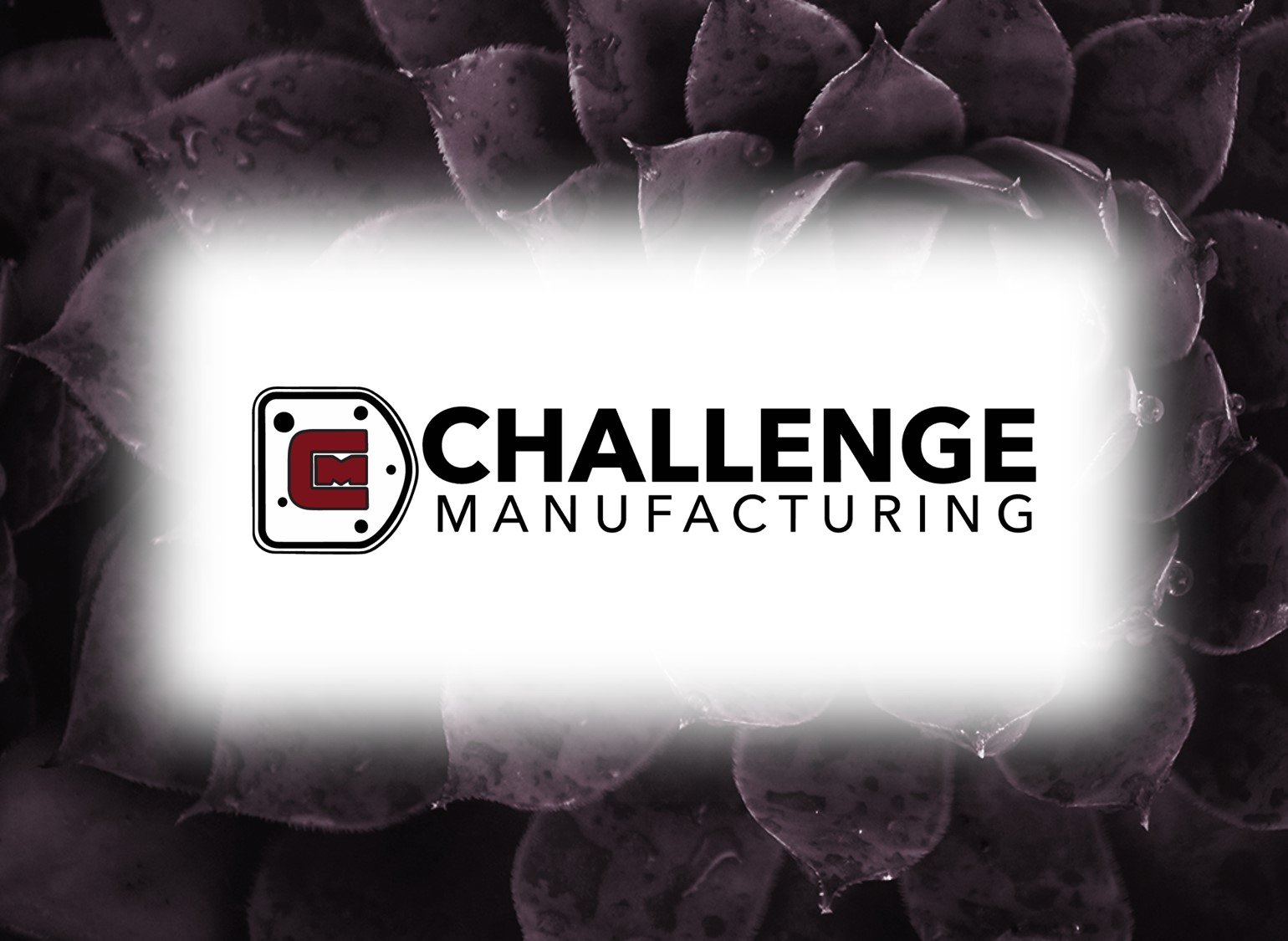 Challenge Manufacturing Logo Garware Bags Silver At India Green